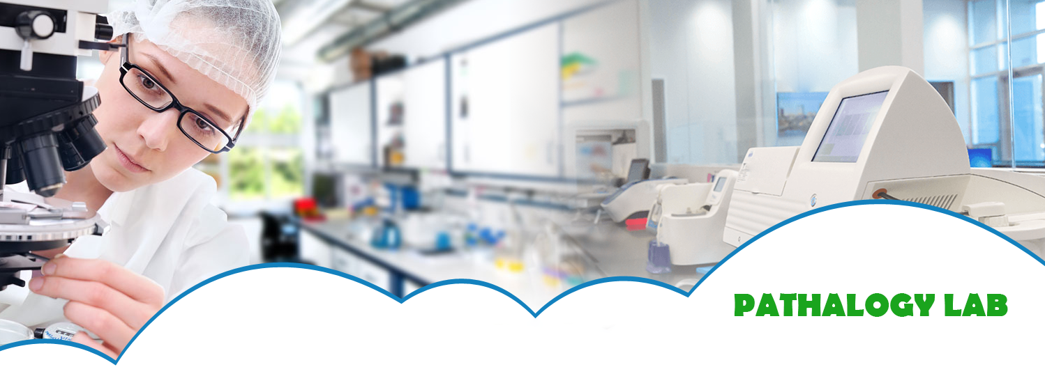 Animal Hospital Pathology Lab - Snpetzone